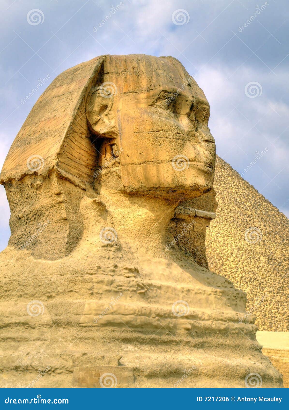 Sphynx head close up 02 stock photo. Image of sand, sphinx - 7217206