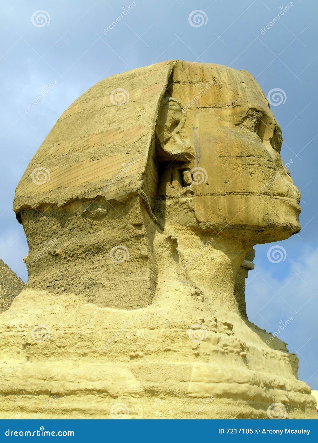 Sphynx head close up stock image. Image of sand, africa - 7217105