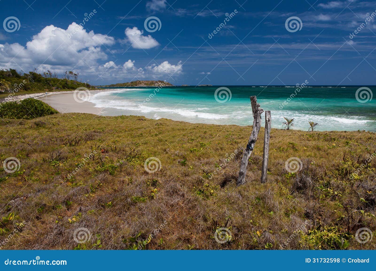 Spiaggia Di Anse Trabaud, La Martinica Fotografia Stock - Immagine di ...