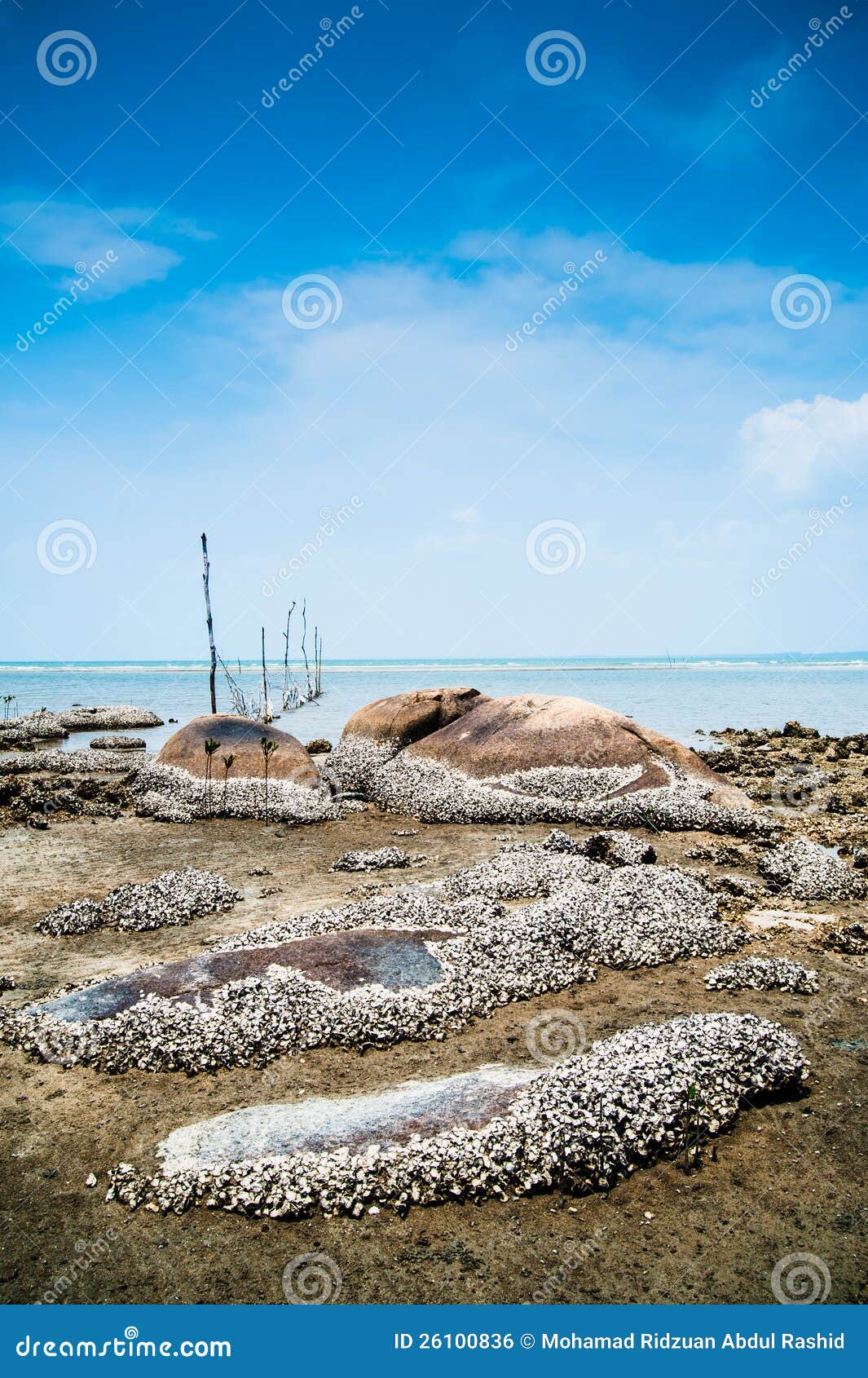 Spiaggia e balani fotografia stock. Immagine di nubi - 26100836