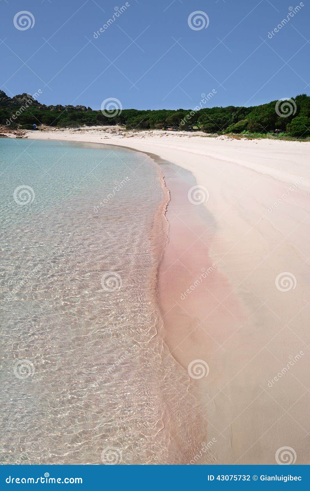 Spiaggia Rosa (plage rose) photo stock. Image du île - 43075732