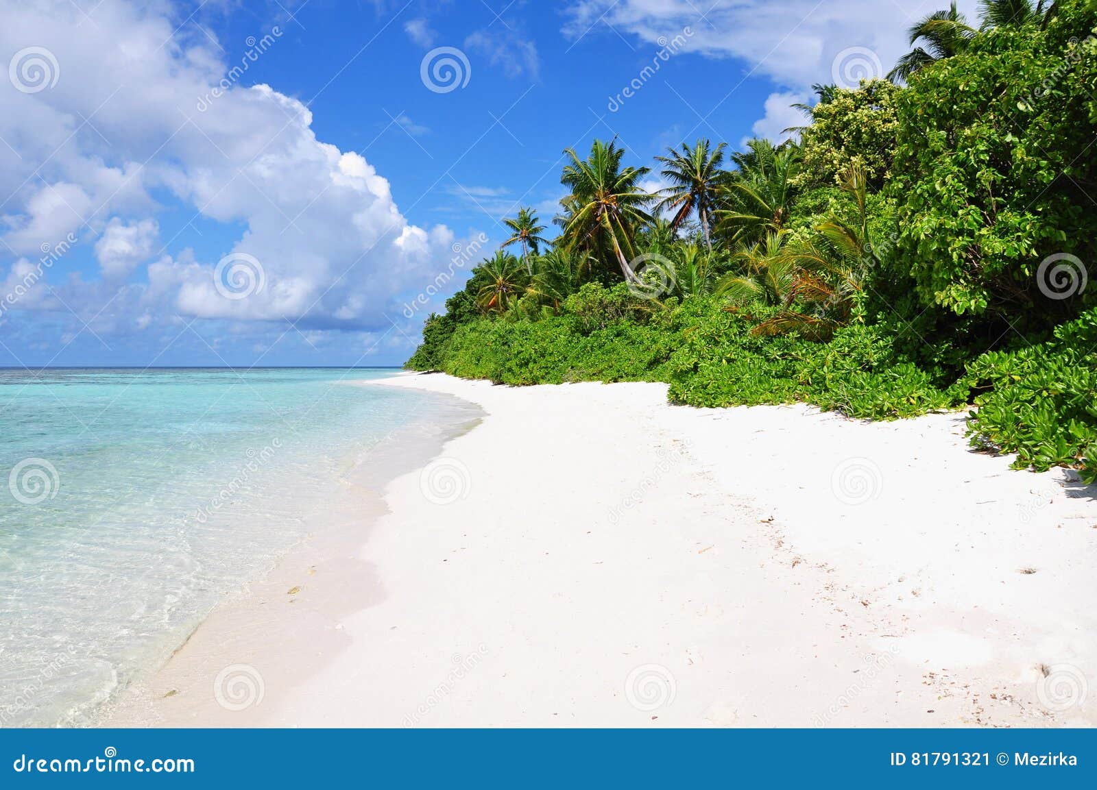Spiaggia Tropicale Con Le Palme, Maldive Immagine Stock - Immagine di ...