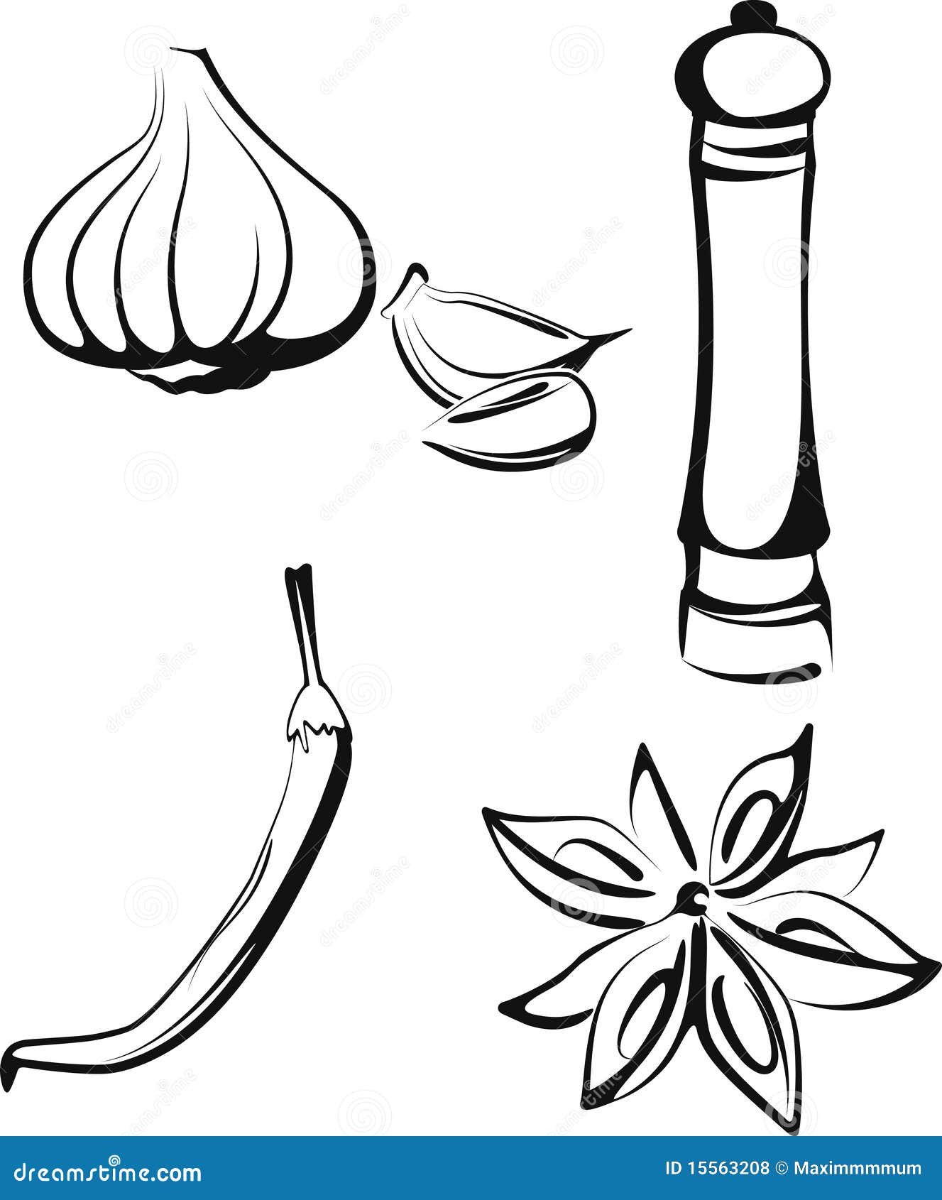 Spice Vector Illustration | CartoonDealer.com #15563208