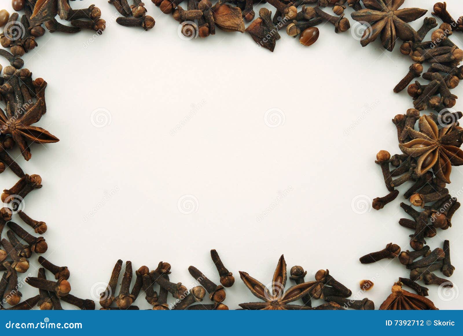 Spice Border stock photo. Image of white, spices, greeting - 7392712