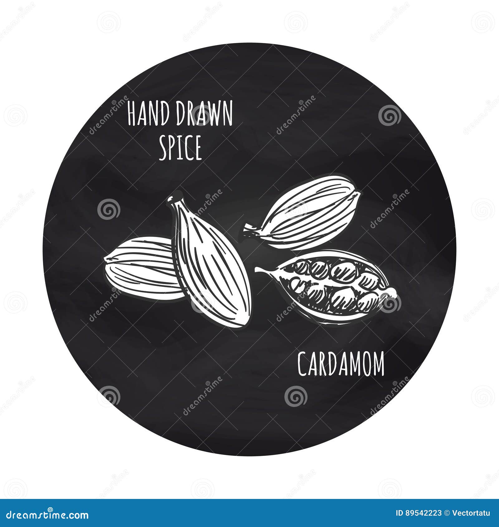 Spice Cardamom, Vector Illustration, Hand Drawing Royalty-Free Cartoon ...