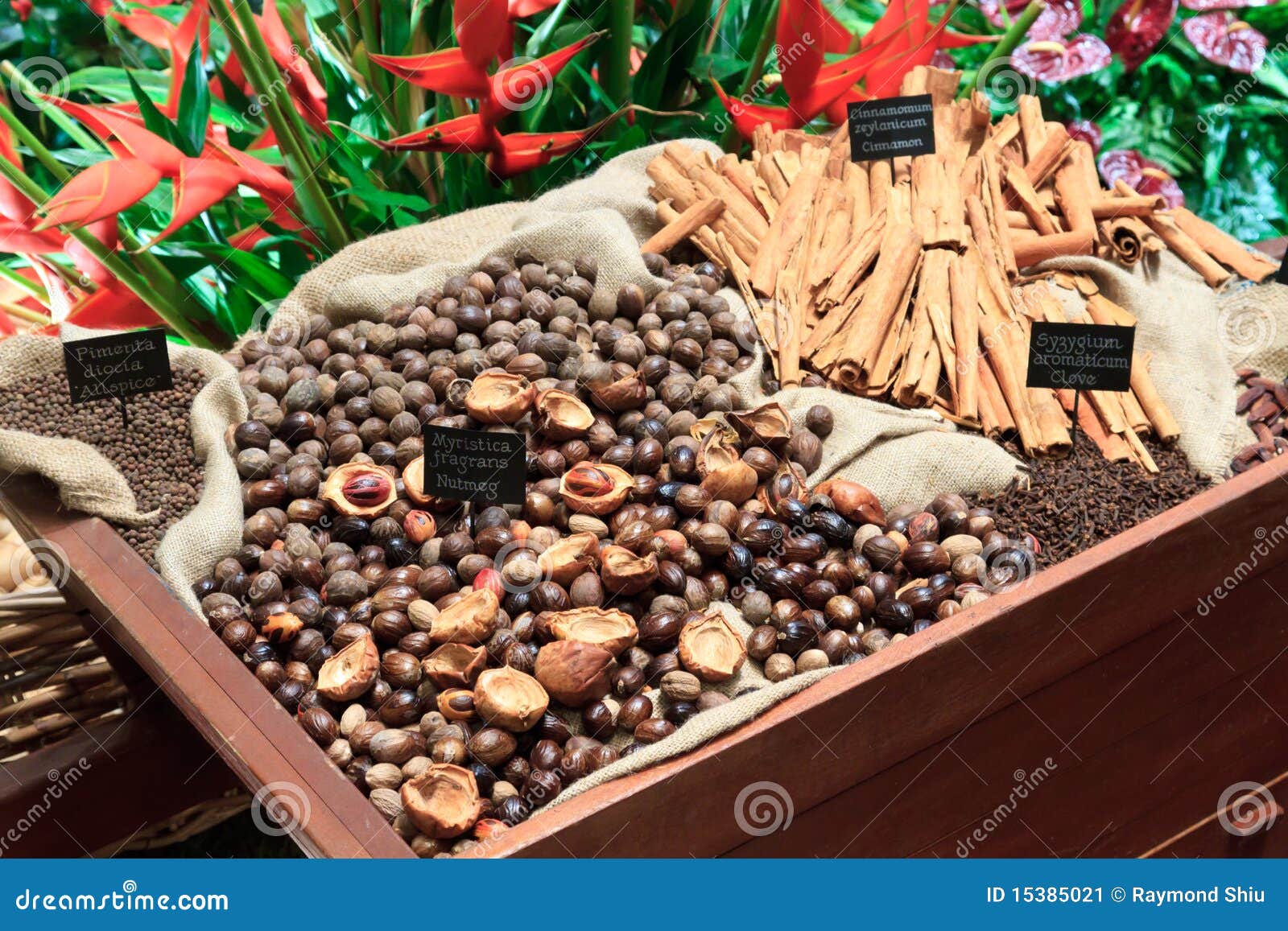 Spice Cart stock image. Image of cart, nuts, festival - 15385021
