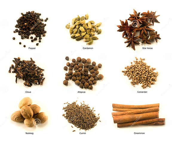 Spice chart stock photo. Image of dried, allspice, chart - 13047568