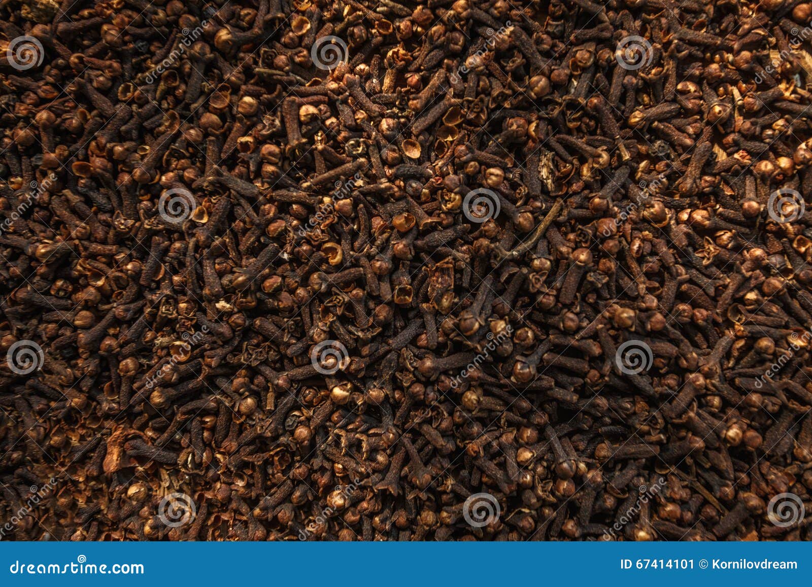 Spice cloves stock image. Image of laong, flavor, spicy - 67414101