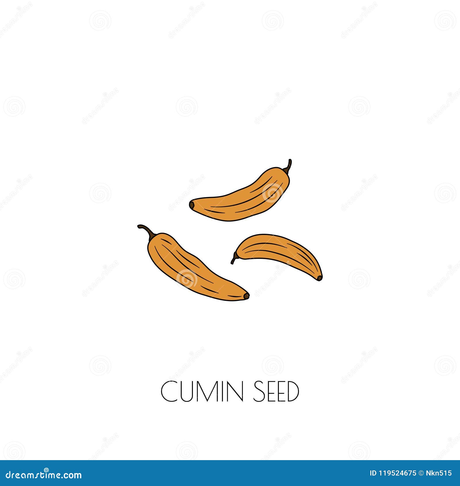 Cumin seeds icon stock vector. Illustration of flavoring - 119524675