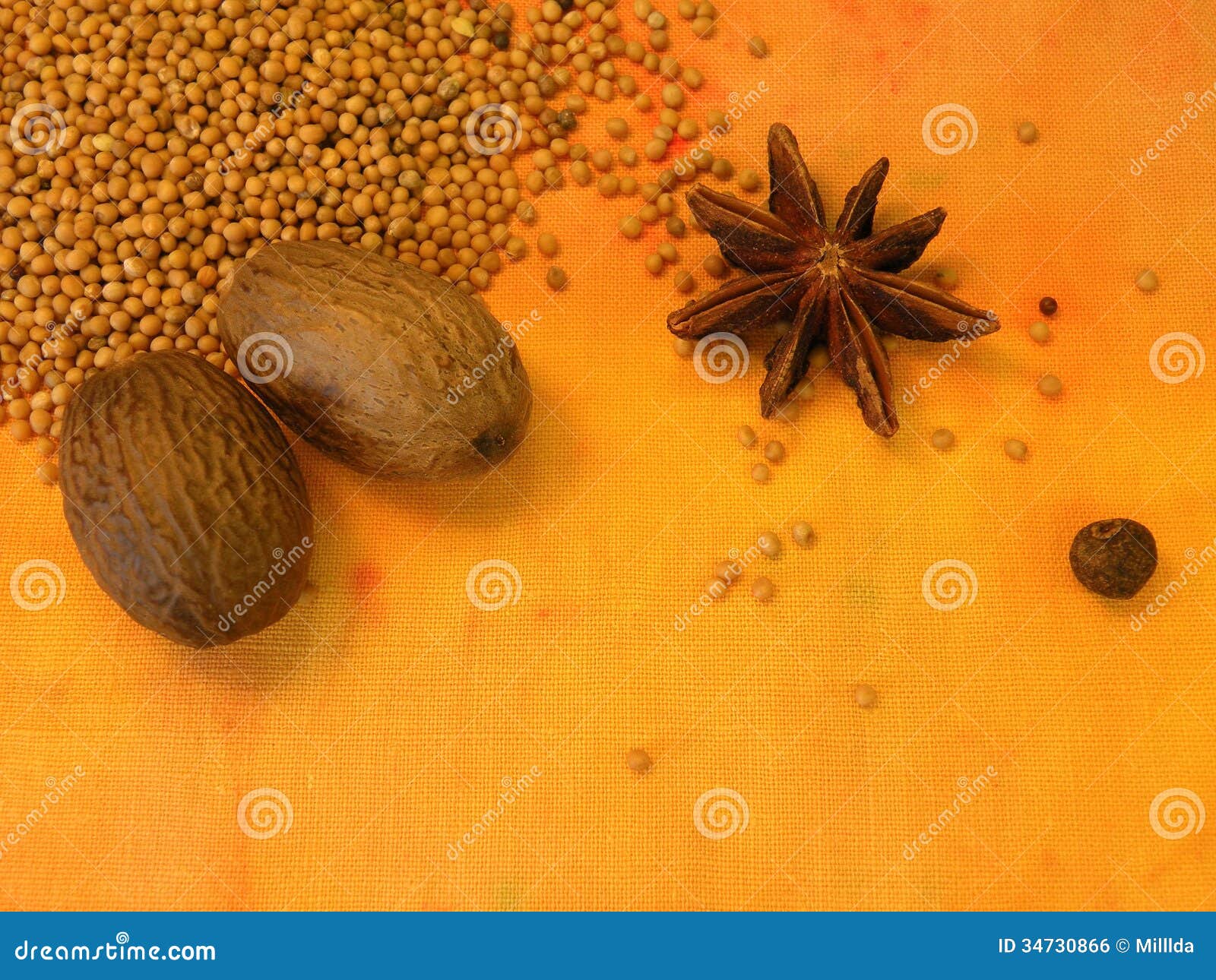 Spice stock photo. Image of seed, spices, spice, food - 34730866