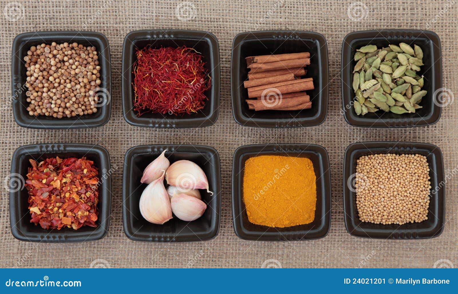 Spice Sampler stock image. Image of collection, sacking - 24021201