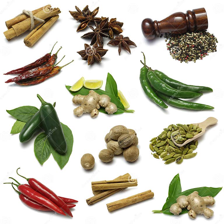 Spice Sampler stock image. Image of seed, leaf, anise - 6738221