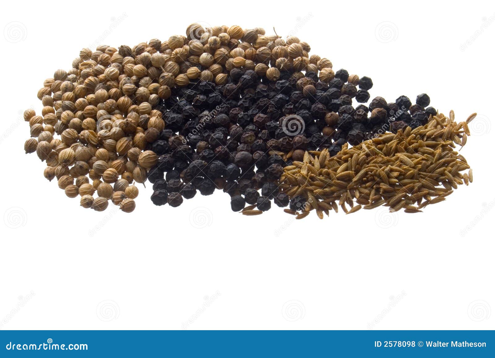 Spice seeds stock photo. Image of black, flavor, spicey - 2578098