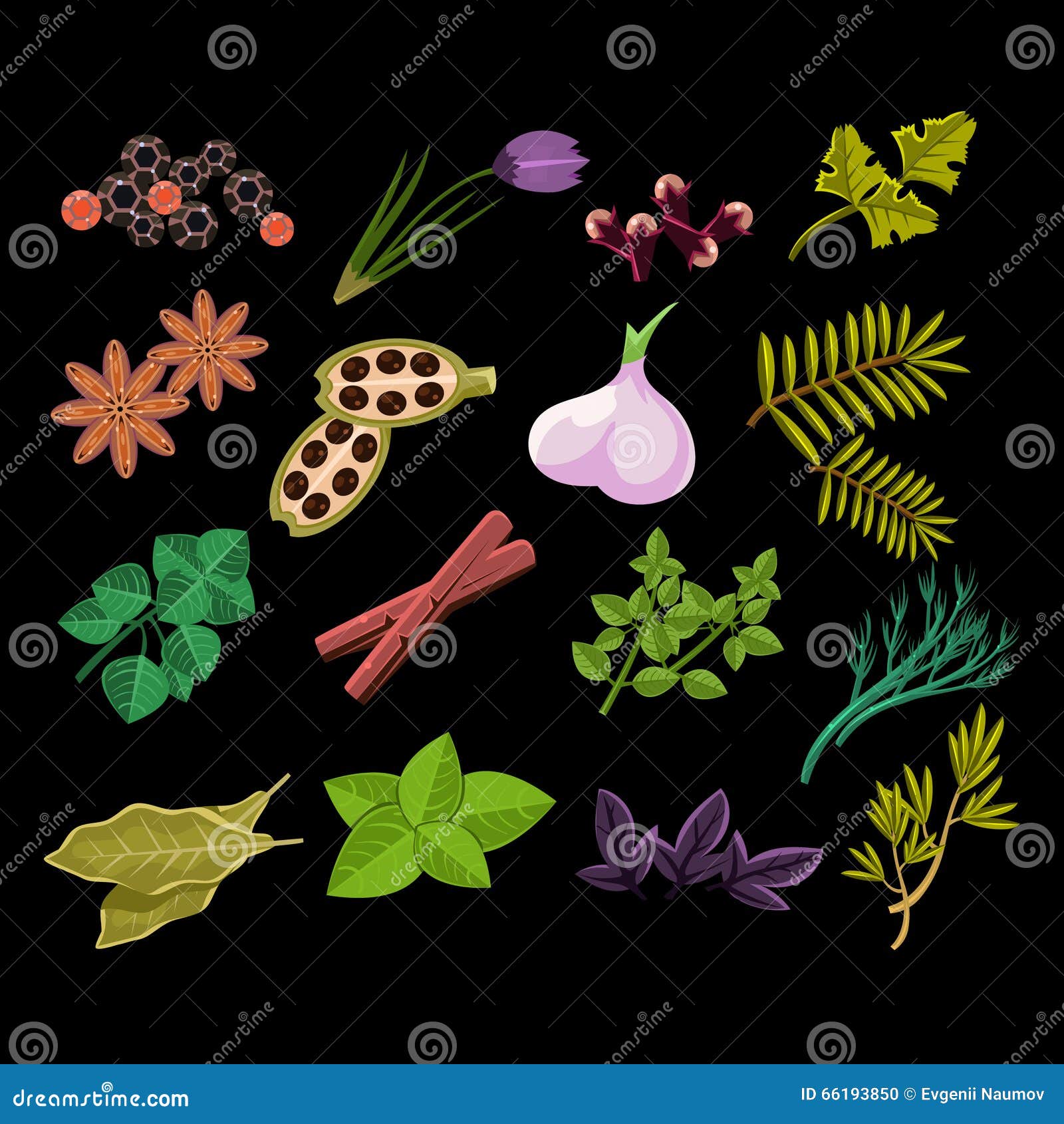 Spice Set. Vector Illustration. Stock Vector - Illustration of branch ...
