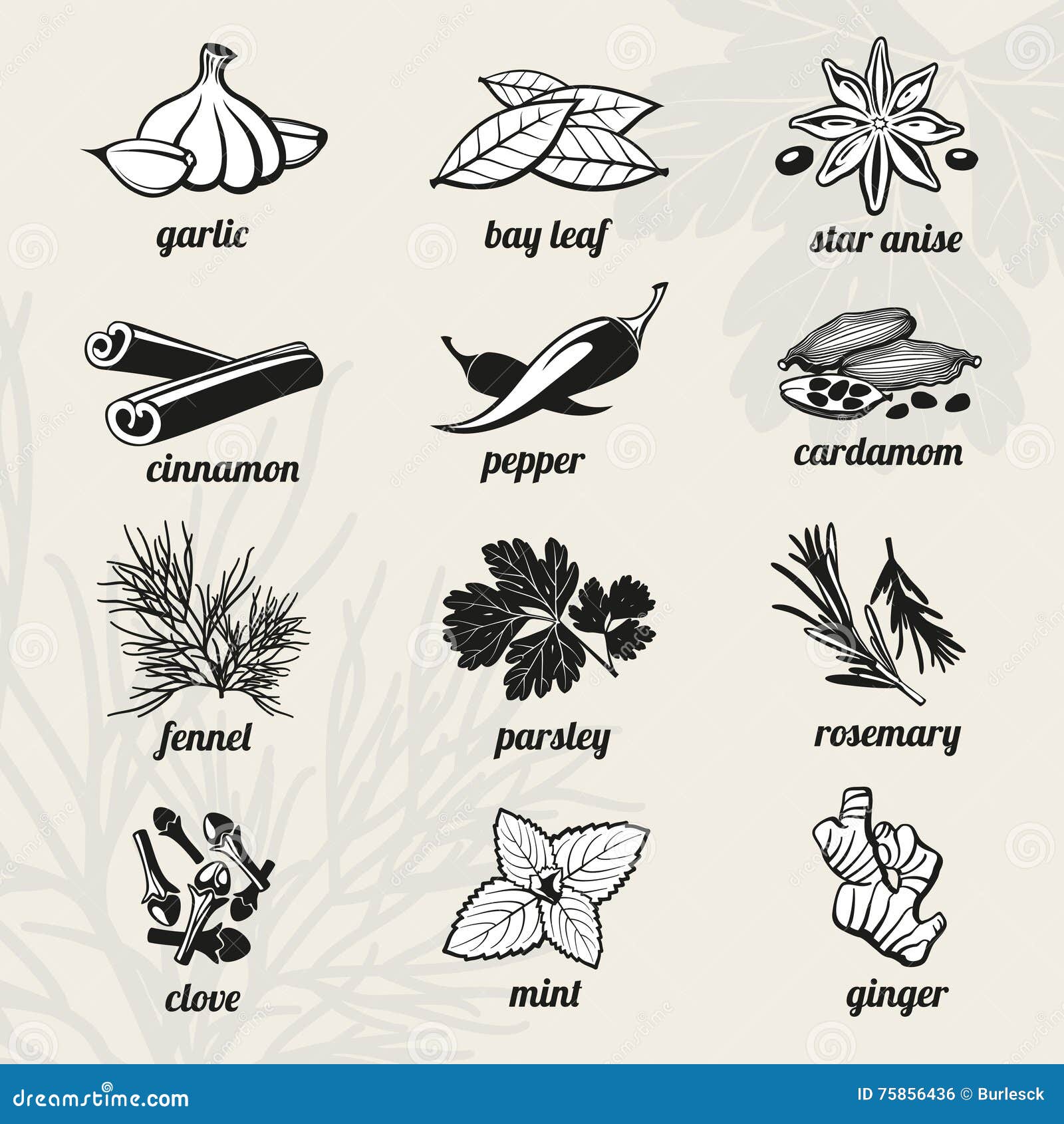 Spice vector icons set stock vector. Illustration of mint - 75856436