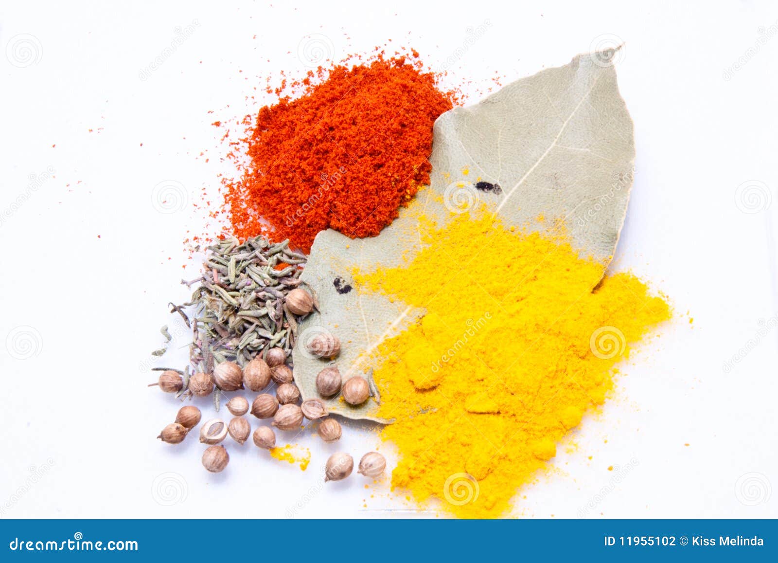 Spices stock photo. Image of aroma, leaf, diverse, herb - 11955102
