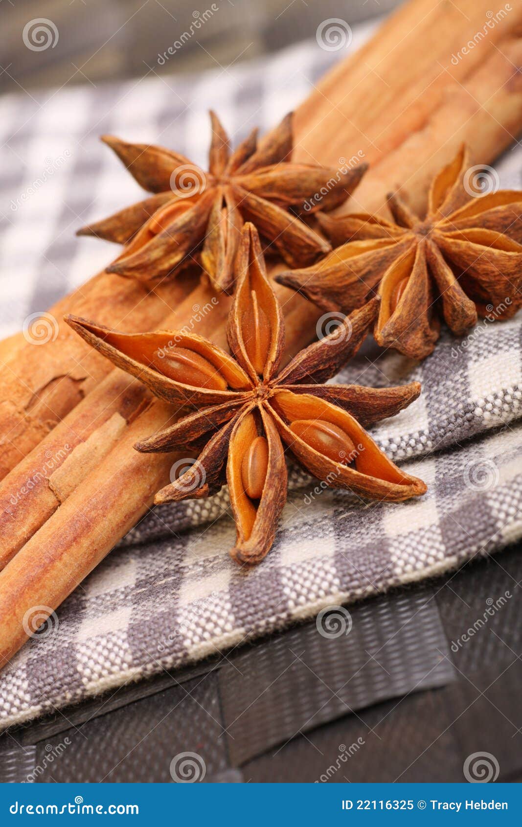 Spices stock image. Image of star, food, ingredient, seed - 22116325