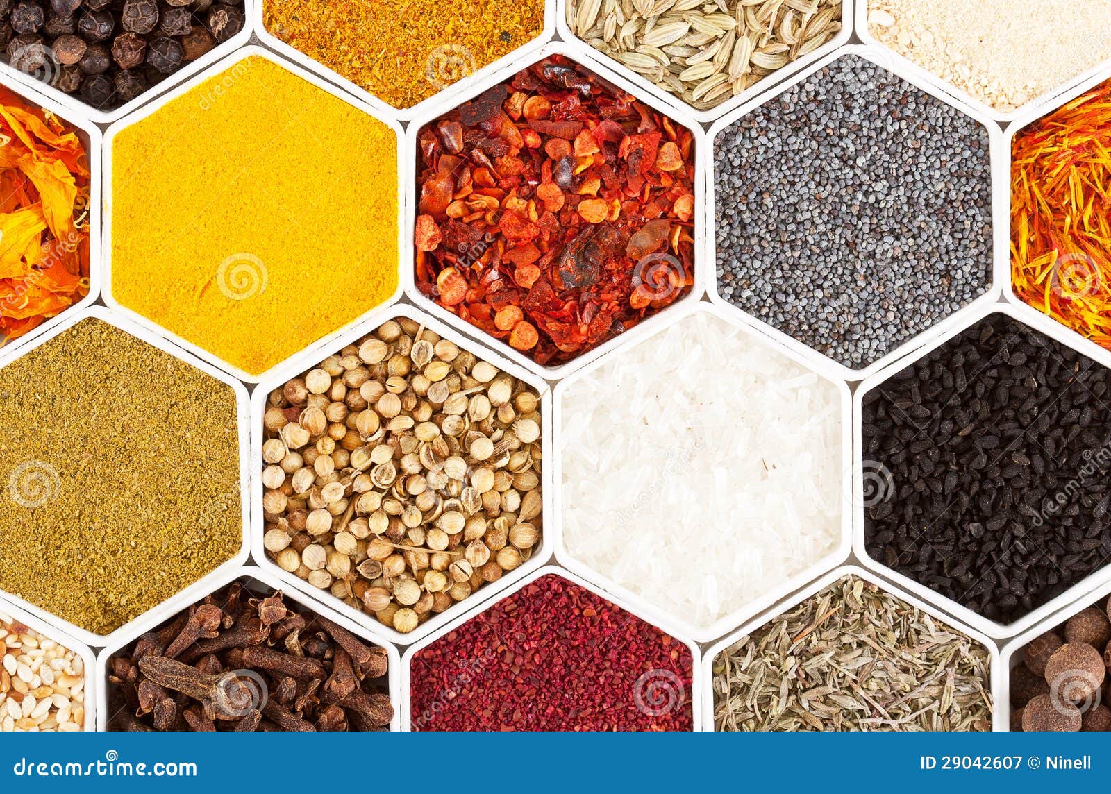 Spices stock image. Image of macro, collection, garlic - 29042607