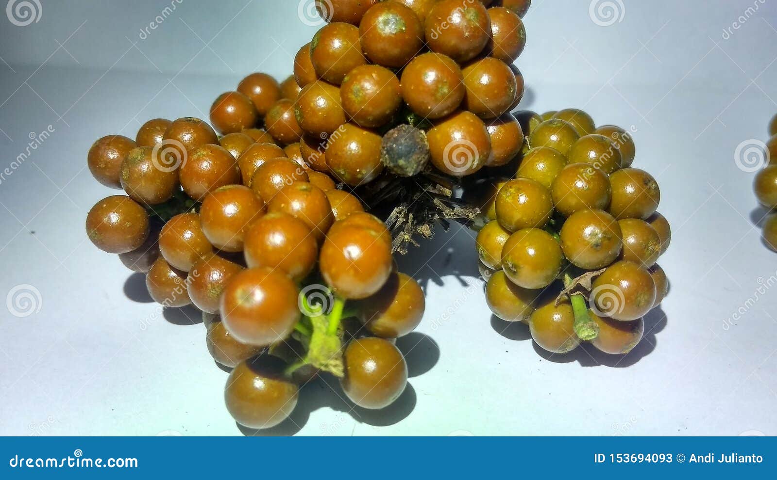 Spices from Central Java,spices in the White Background Stock Image ...