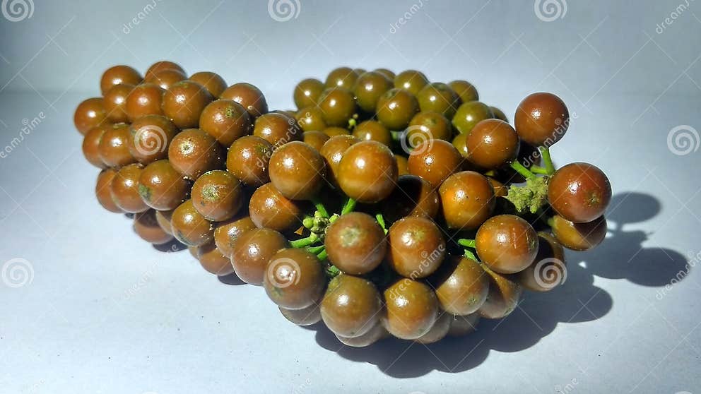 Spices from Central Java,spices in the White Background Stock Photo ...