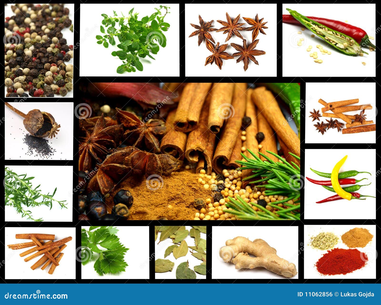 Spices collection stock photo. Image of beauty, gourmet - 11062856