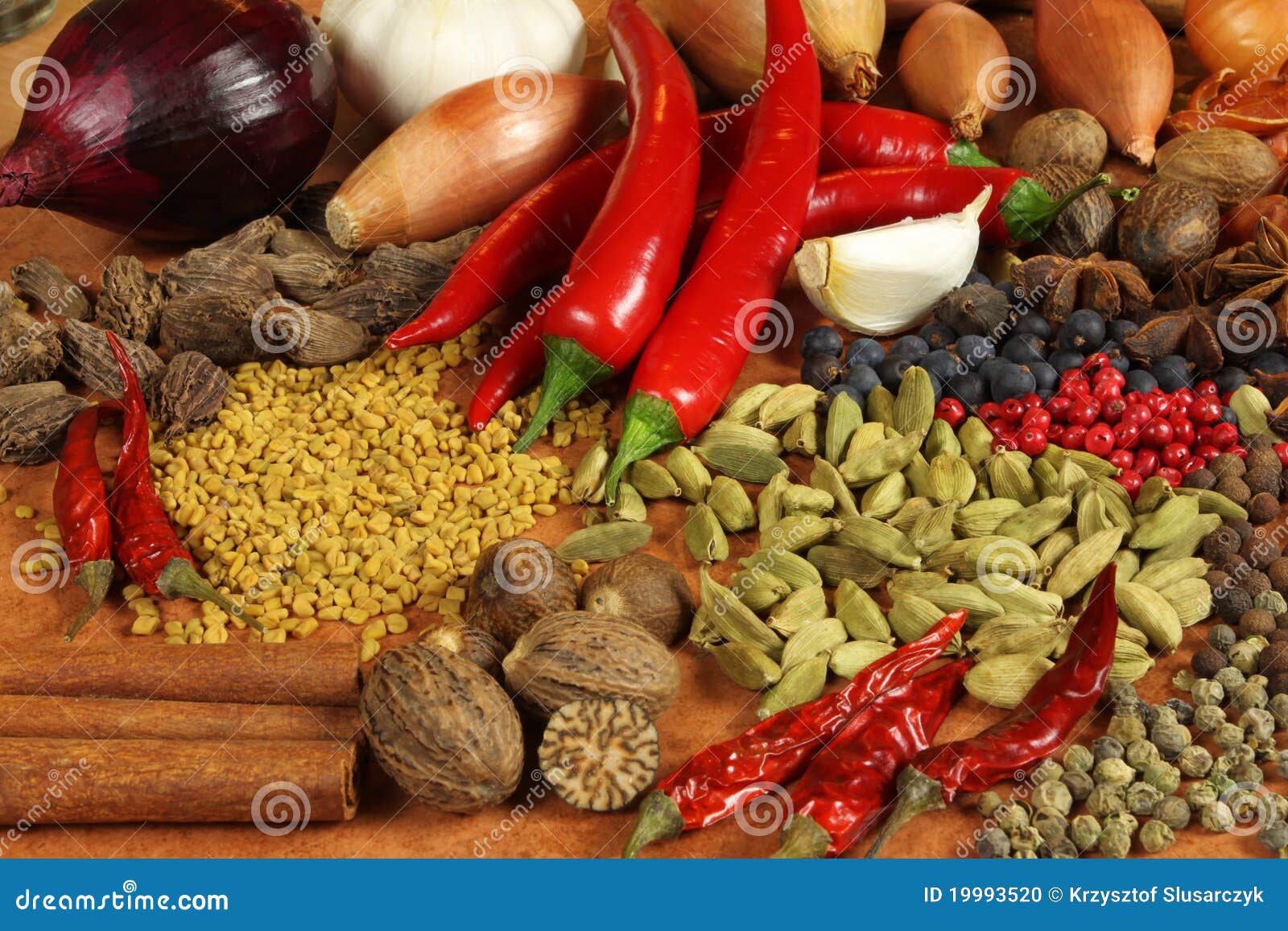 Spices composition stock photo. Image of food, colors - 19993520