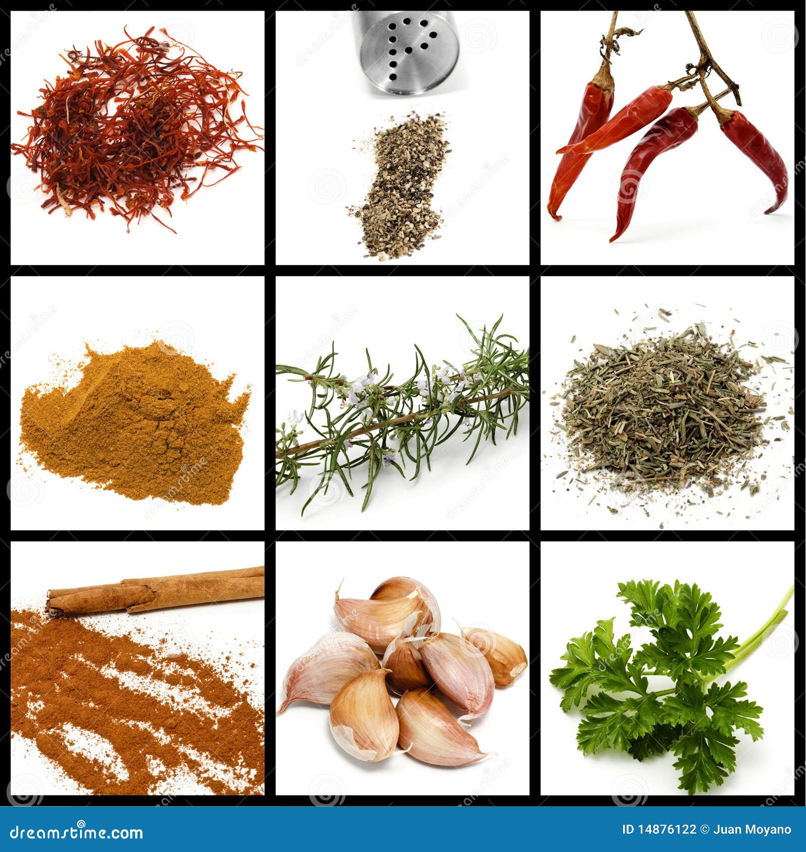 Spices and Condiments Collage Stock Photo - Image of food, spices: 14876122