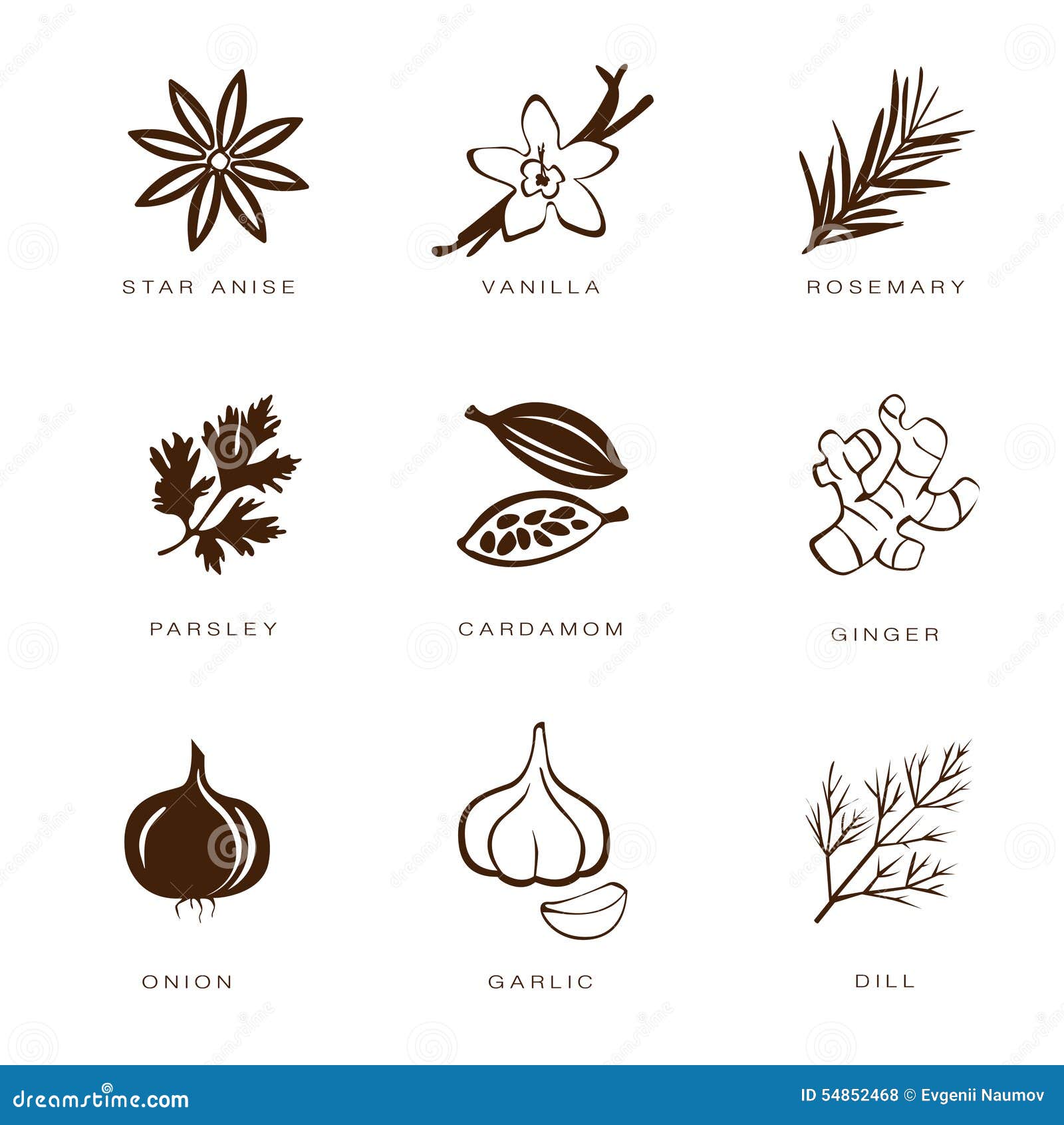Spices, Condiments and Herbs Vector Stock Vector - Illustration of icon ...