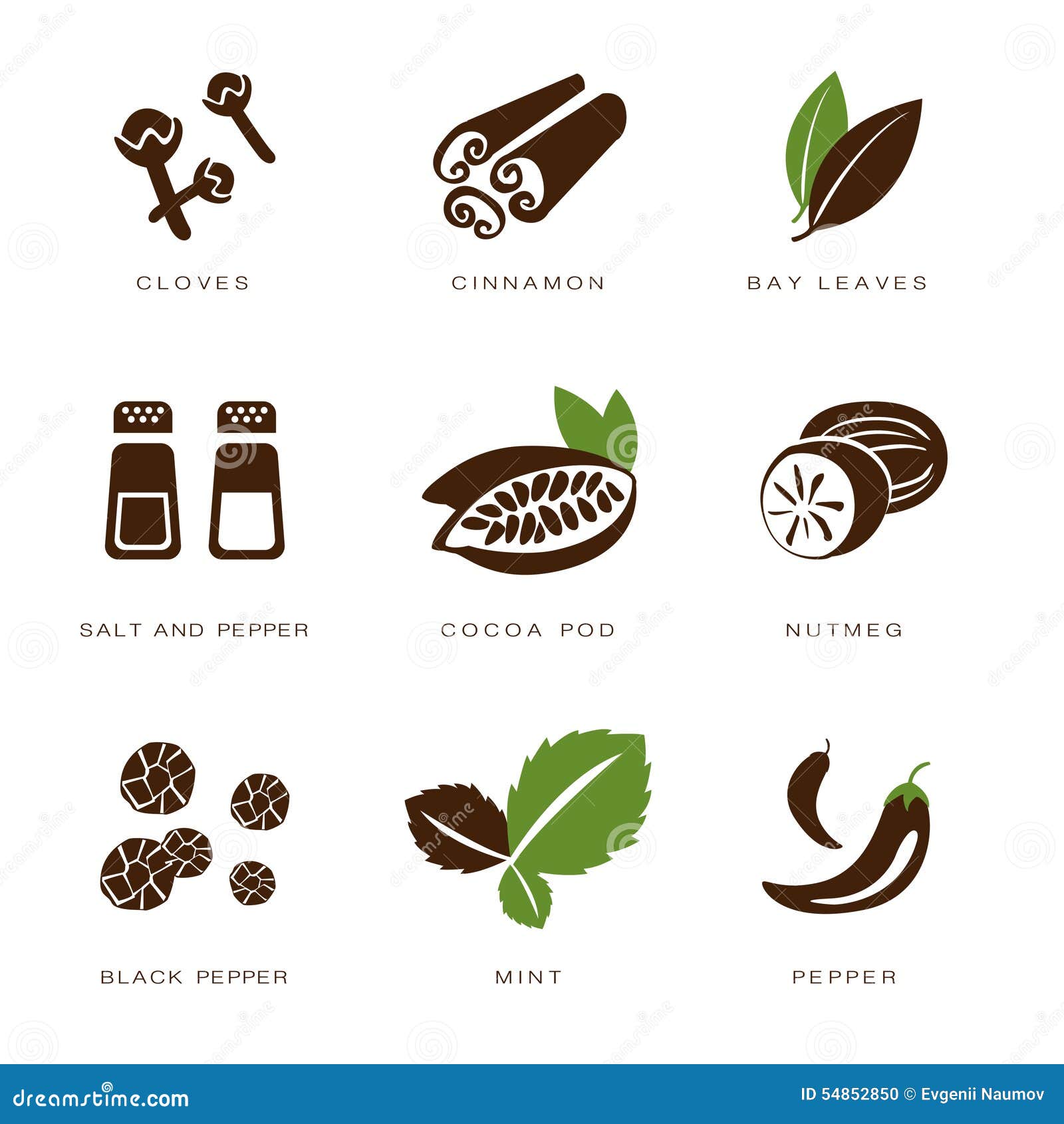 Spices, Condiments and Herbs Vector Stock Vector - Illustration of ...
