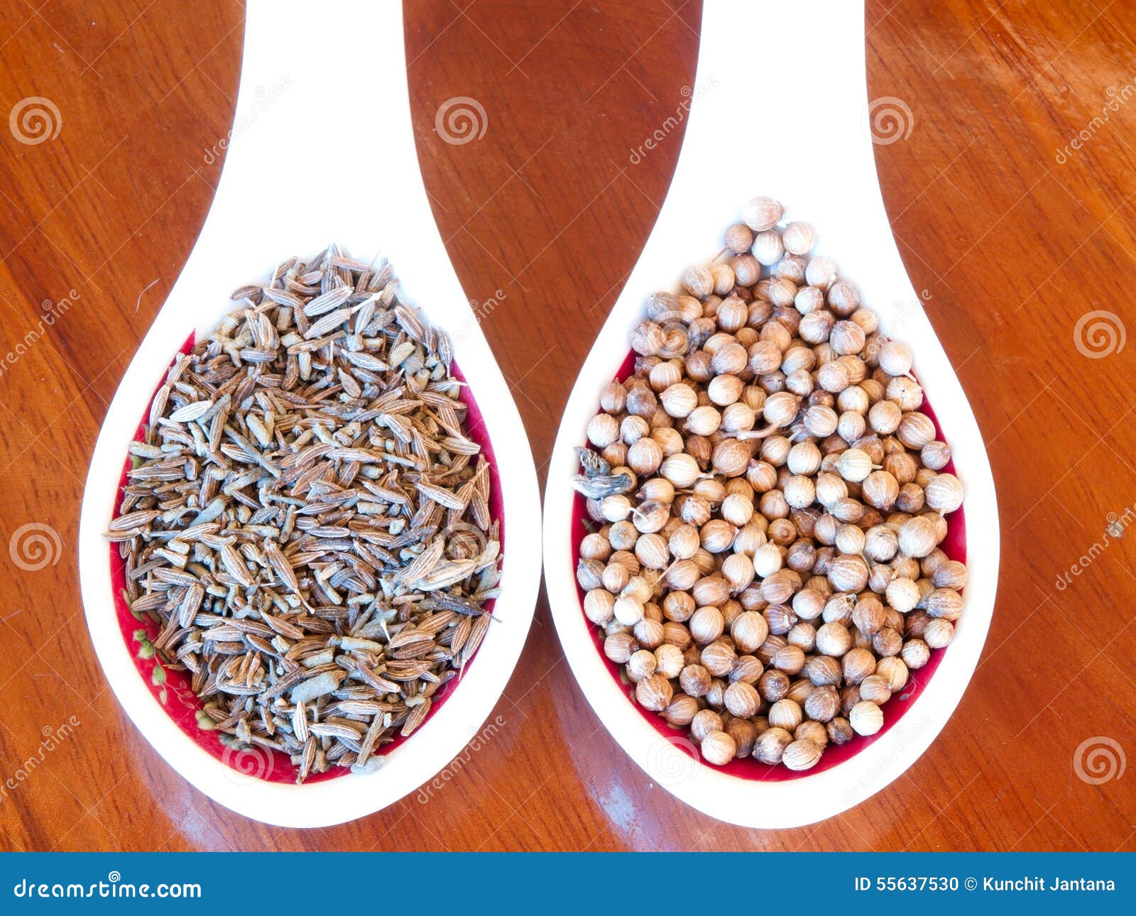 Spices, cumin, pepper stock photo. Image of herbs, fennel - 55637530