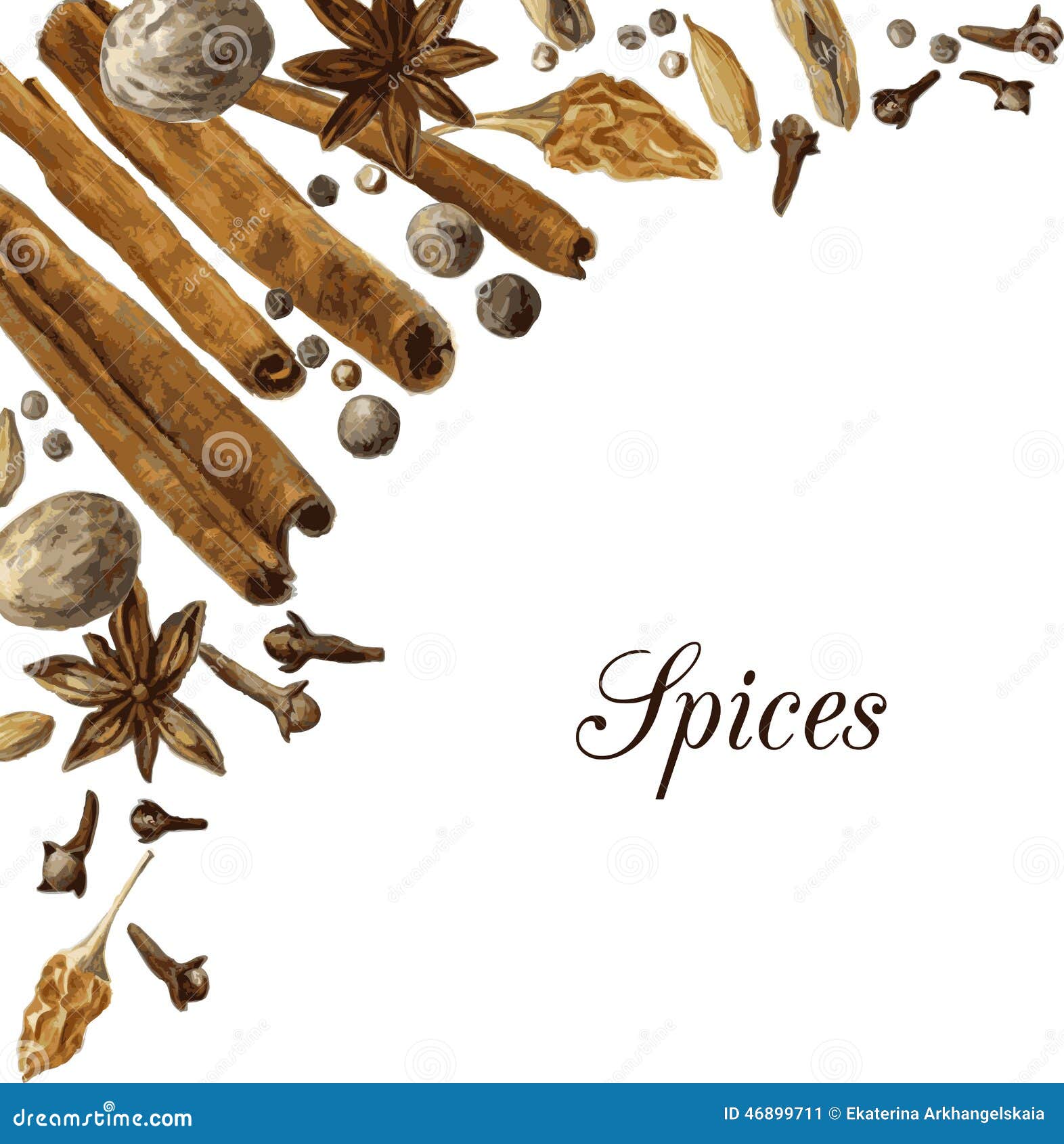 Spices Drawing by Watercolor Stock Vector - Illustration of background ...