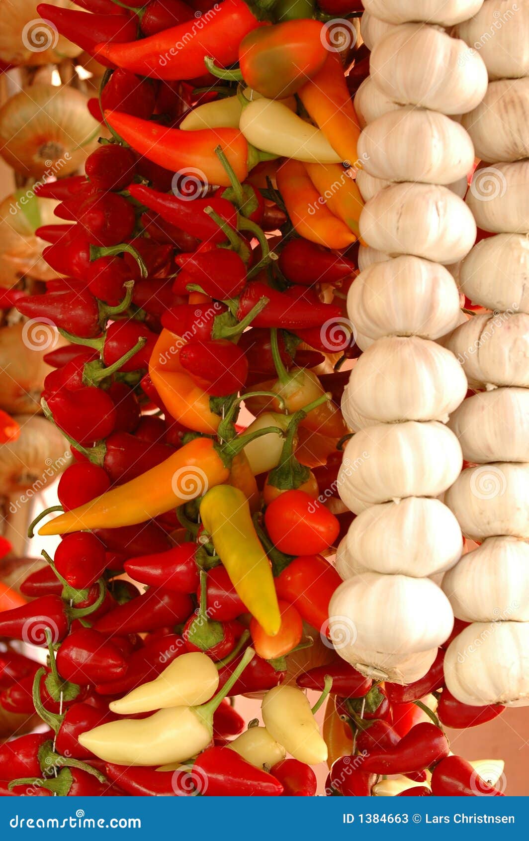 Spices hanging in rows stock image. Image of garlic, isolation - 1384663