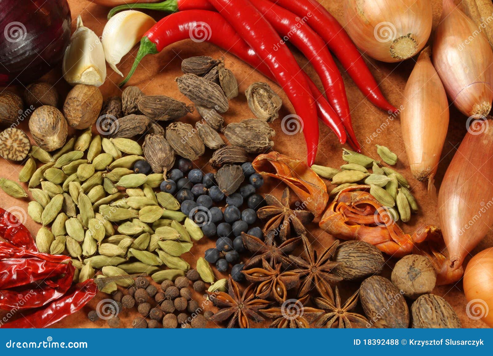 Spices and herbs stock photo. Image of recipe, fenugreek - 18392488