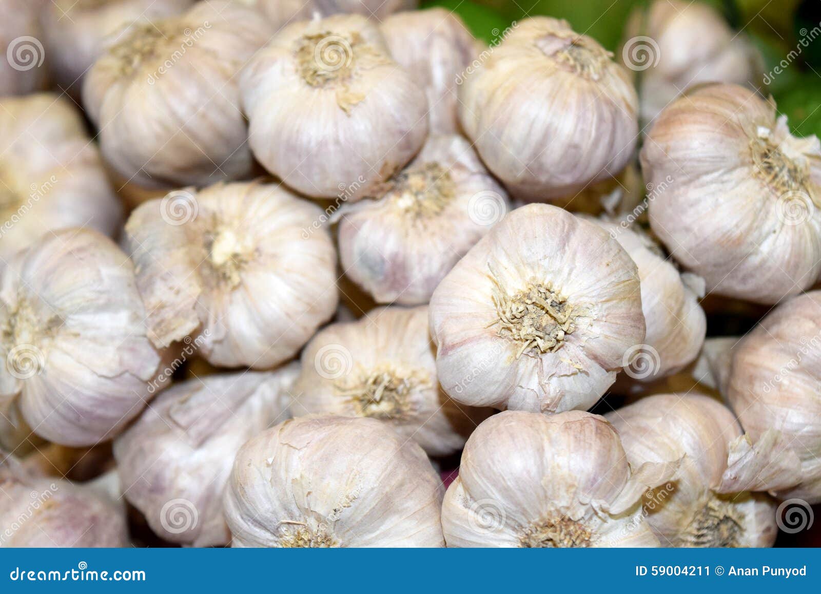 Spices and Herbs - Close Up White Garlic Ground Stock Image - Image of ...