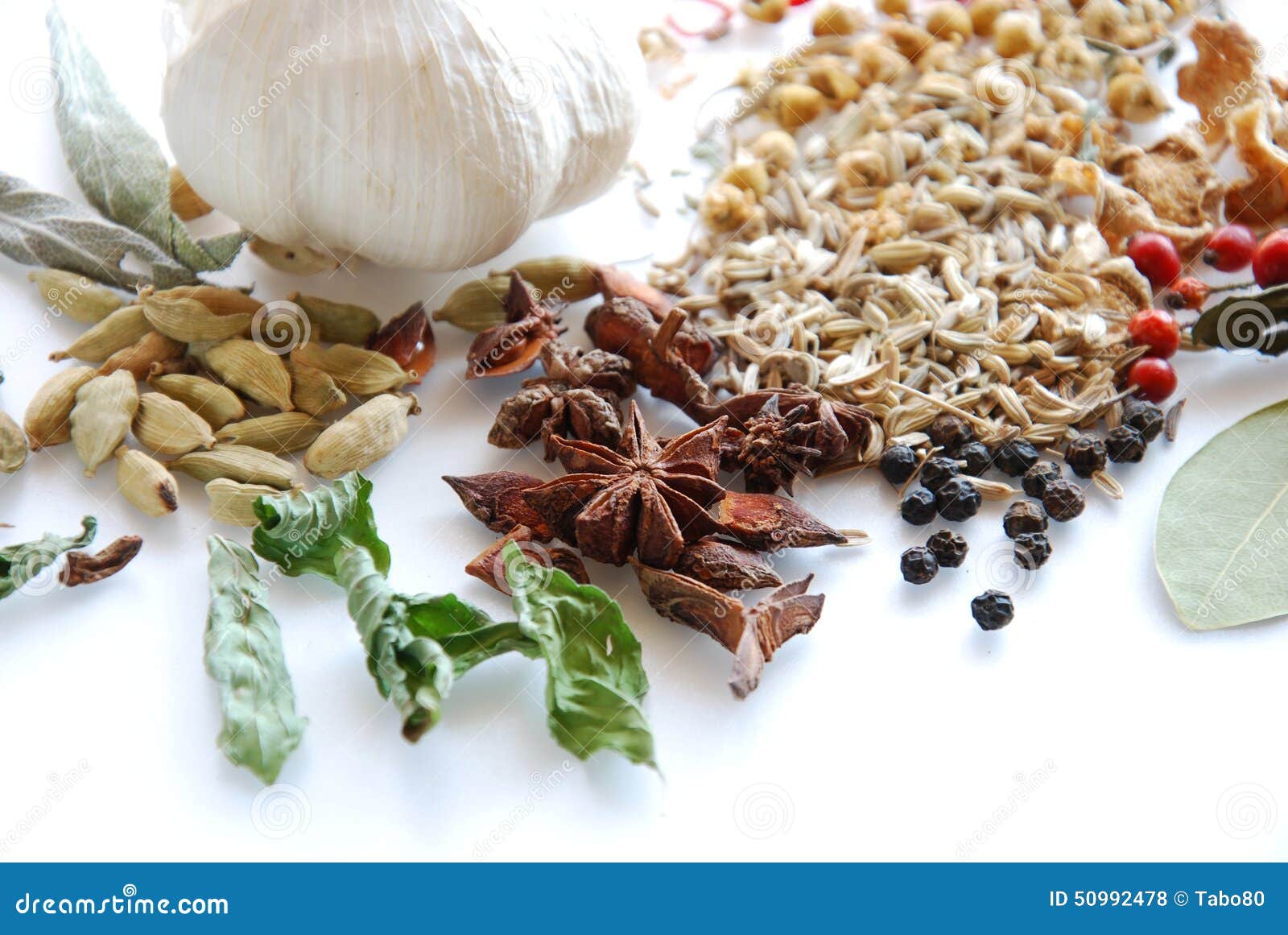 Spices and herbs stock photo. Image of white, spices - 50992478