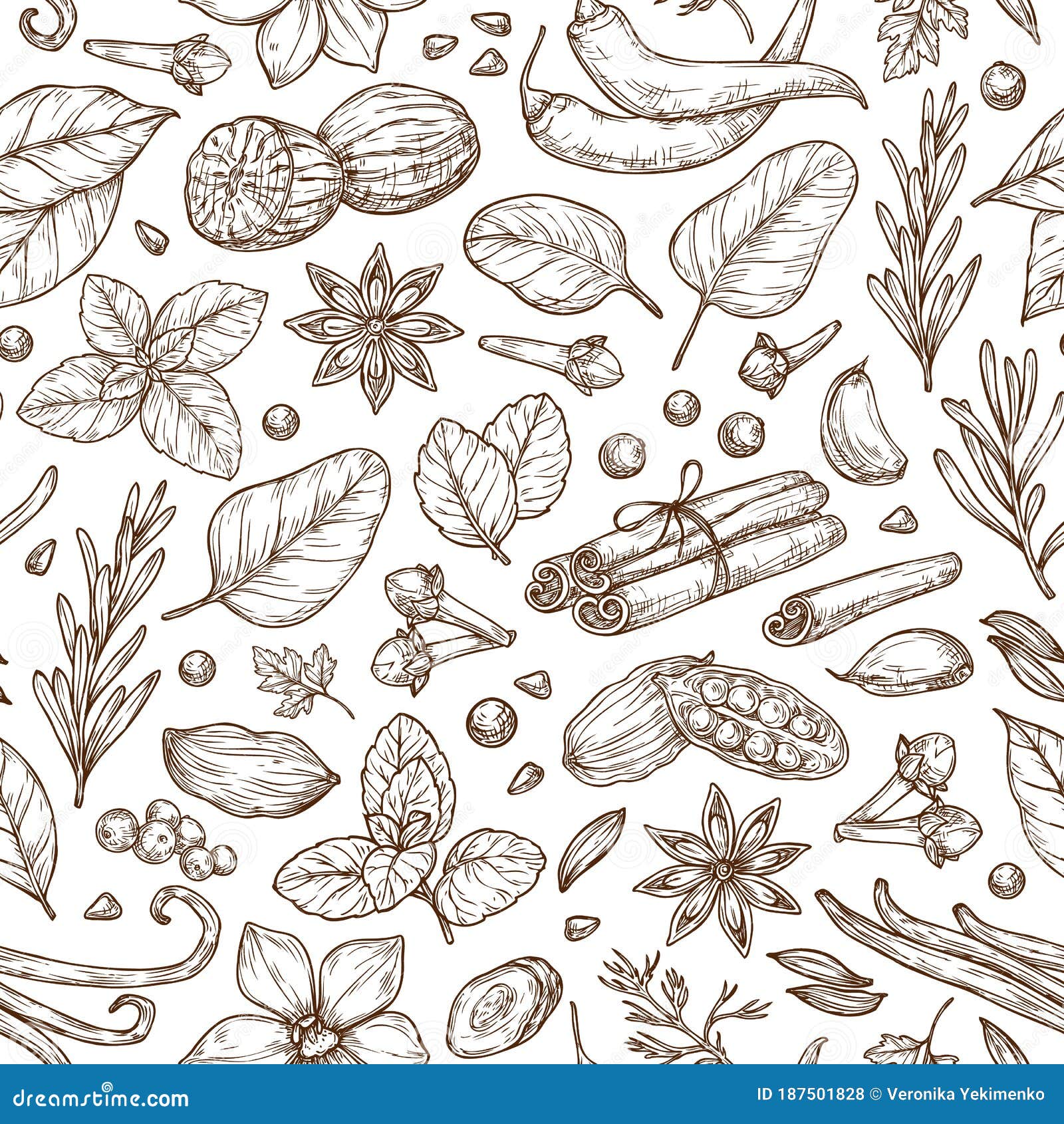 Spices and Herbs Sketch Pattern. Stock Vector - Illustration of graphic ...