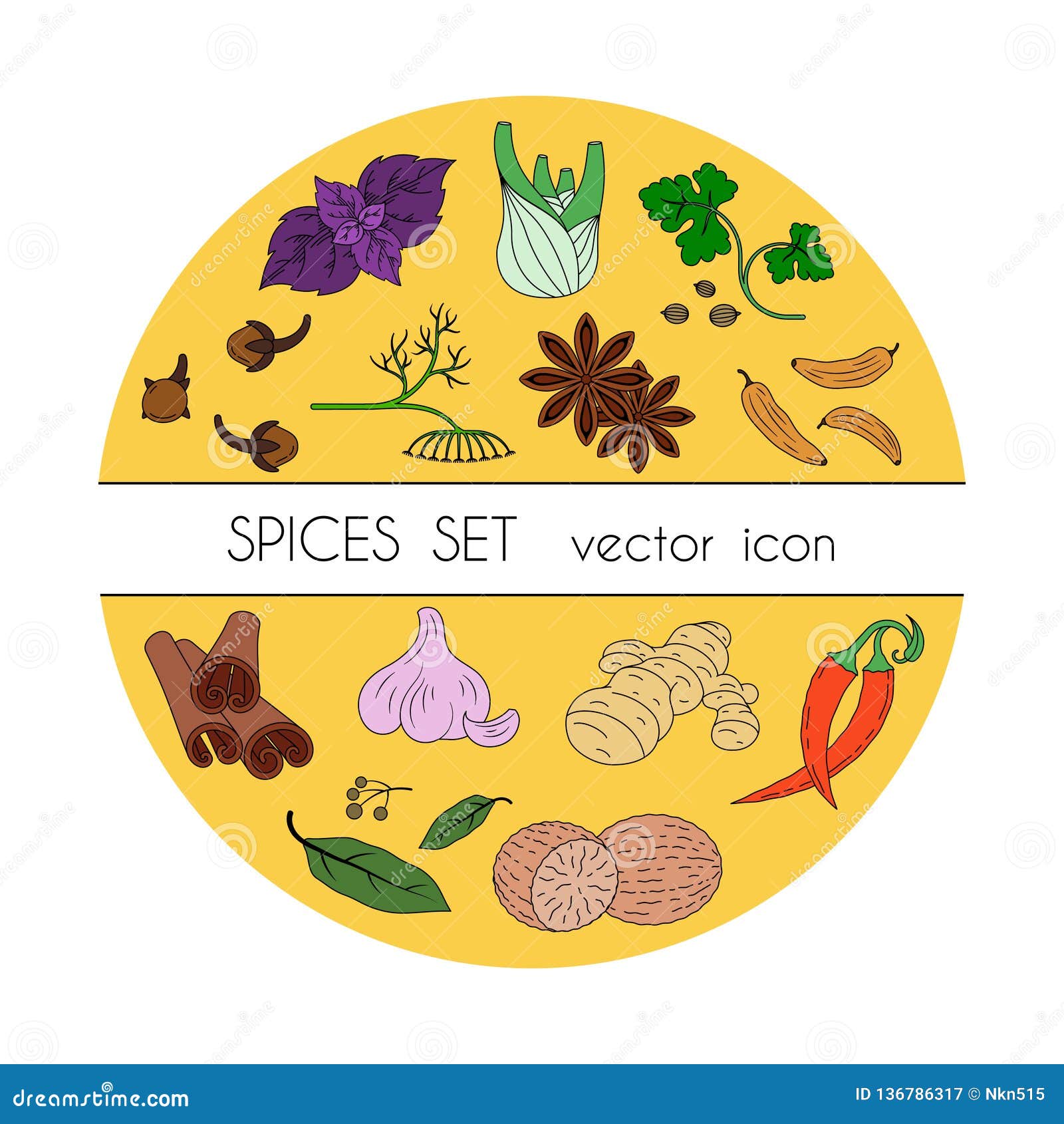 Spices Set of Colored Icons Stock Vector - Illustration of fennel ...