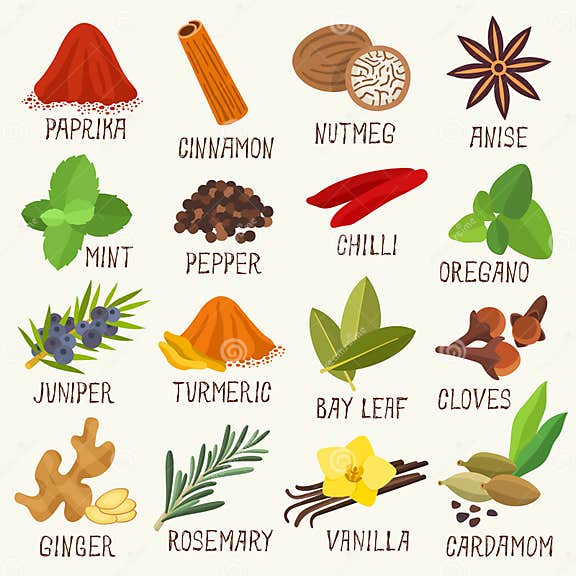Spices set stock vector. Illustration of leaf, food, cinnamon - 97217302