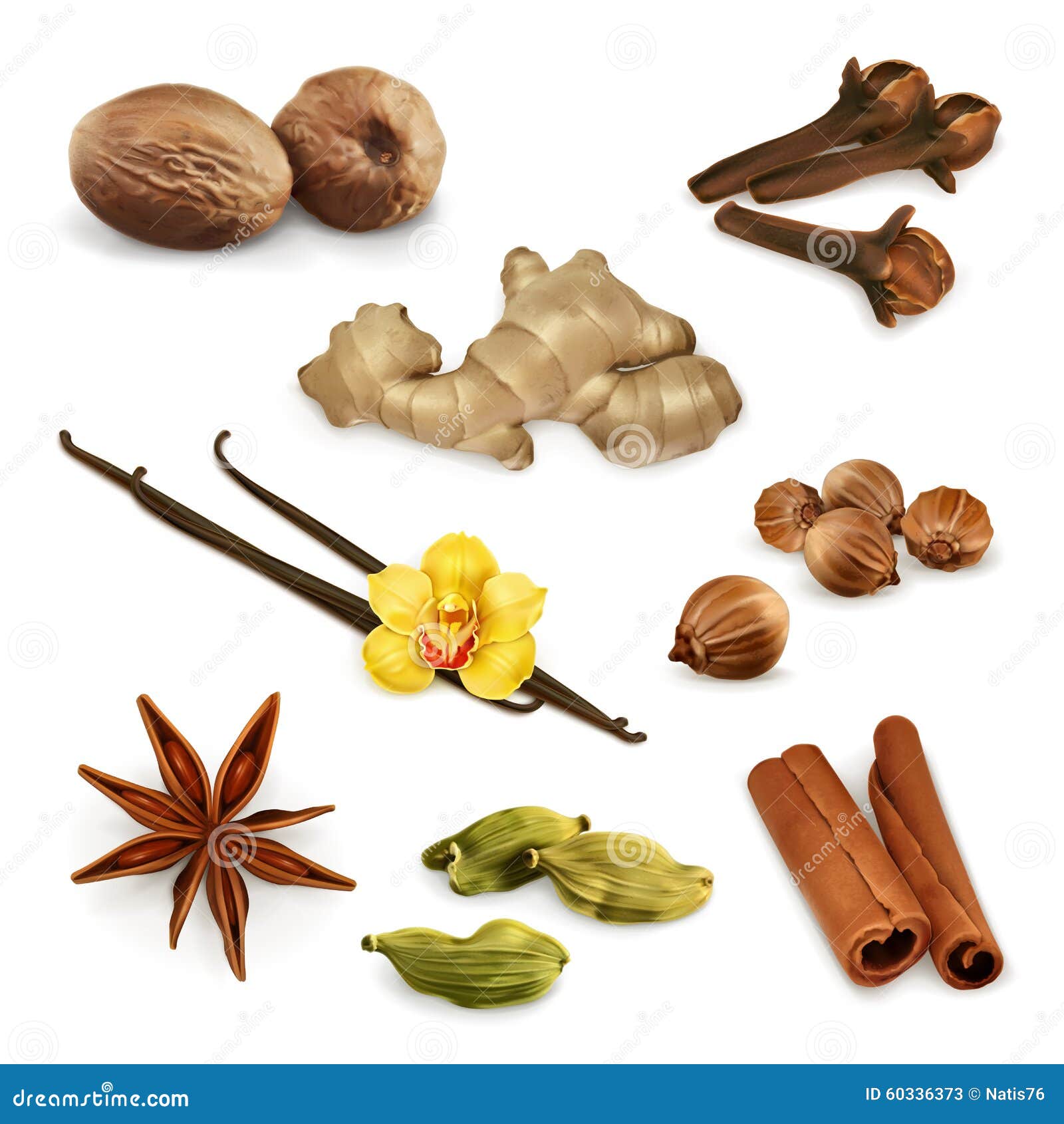 Spices Vector Free Download