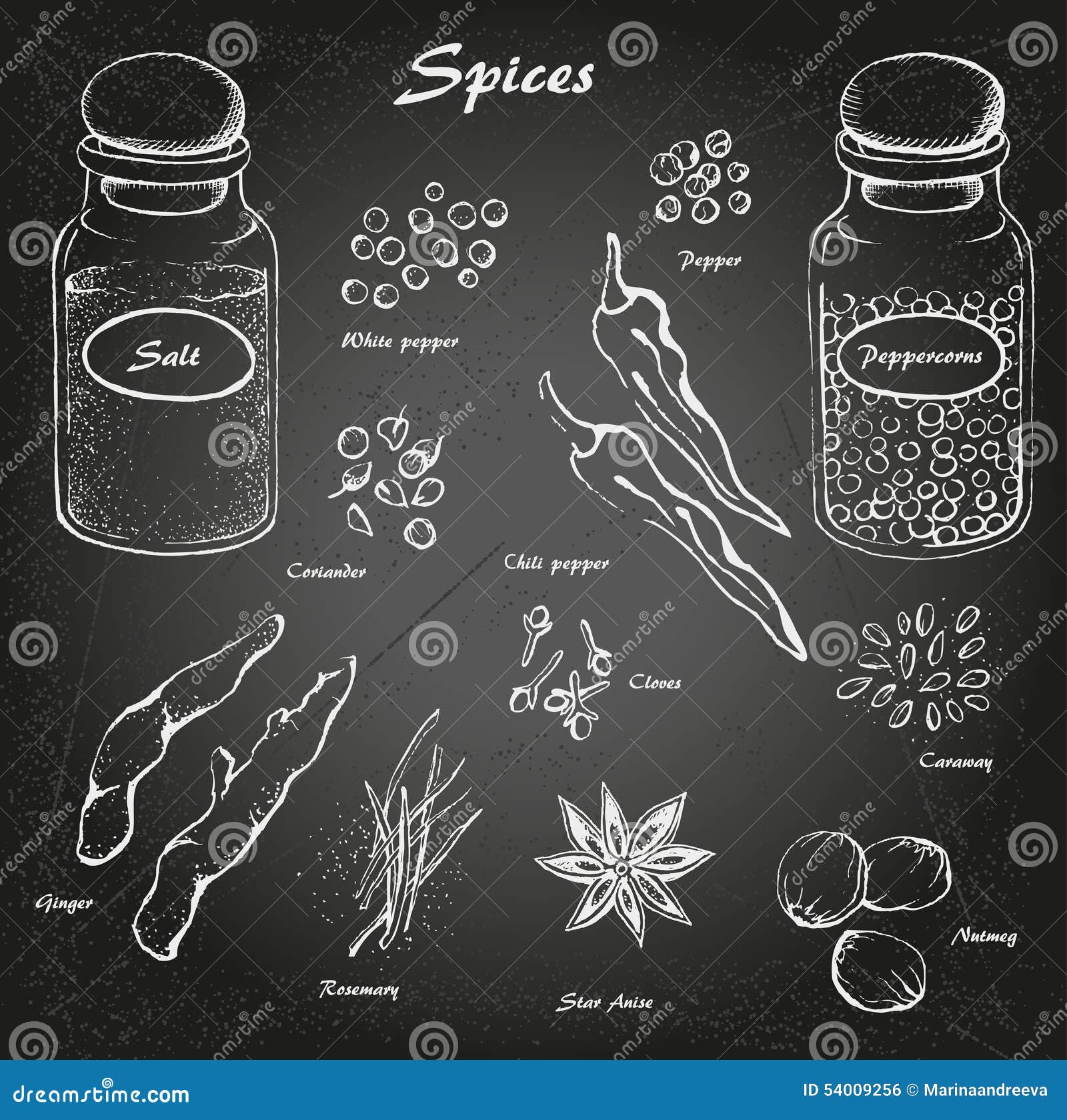 Spices 1 stock vector. Illustration of cardamon, drawing - 54009256