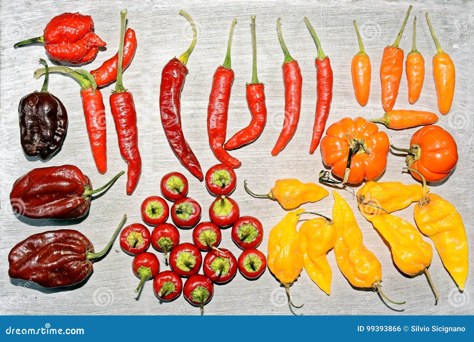 Spicy chillies stock photo. Image of organic, colorful - 99393866