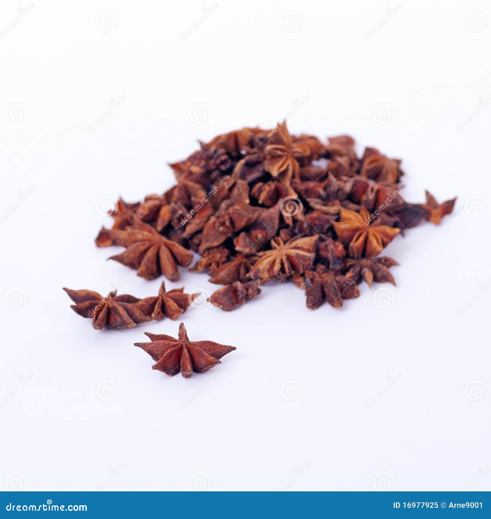 Spicy Chinese Anise stock image. Image of spicy, tasty - 16977925