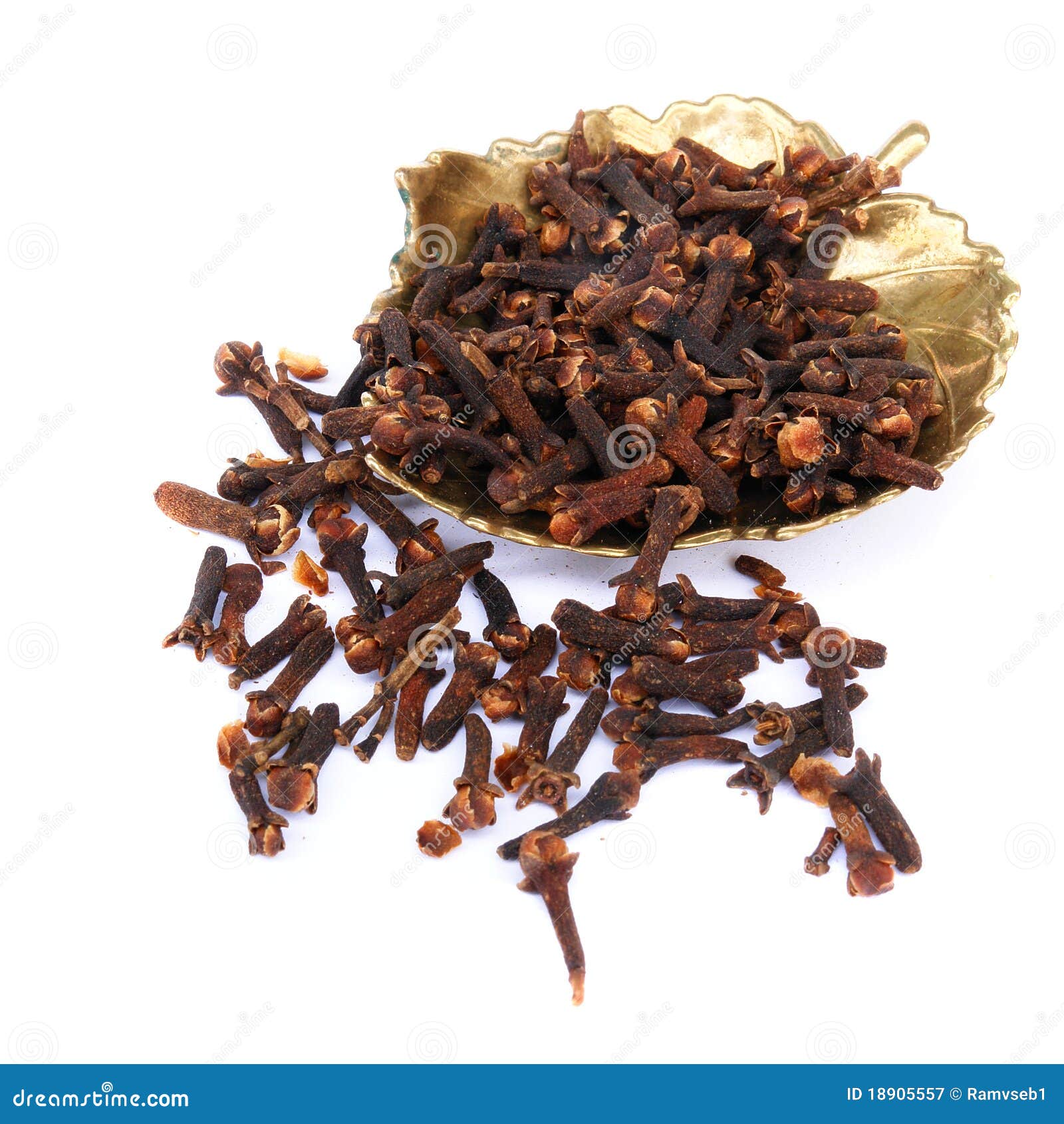 Spicy clove stock image. Image of cooking, bronze, dried - 18905557