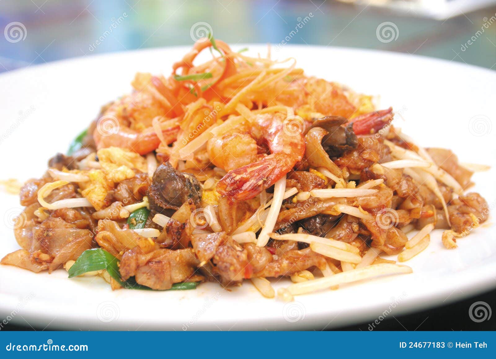 Spicy Dry Fried Rice-noodles Penag Style Stock Image - Image of dish ...