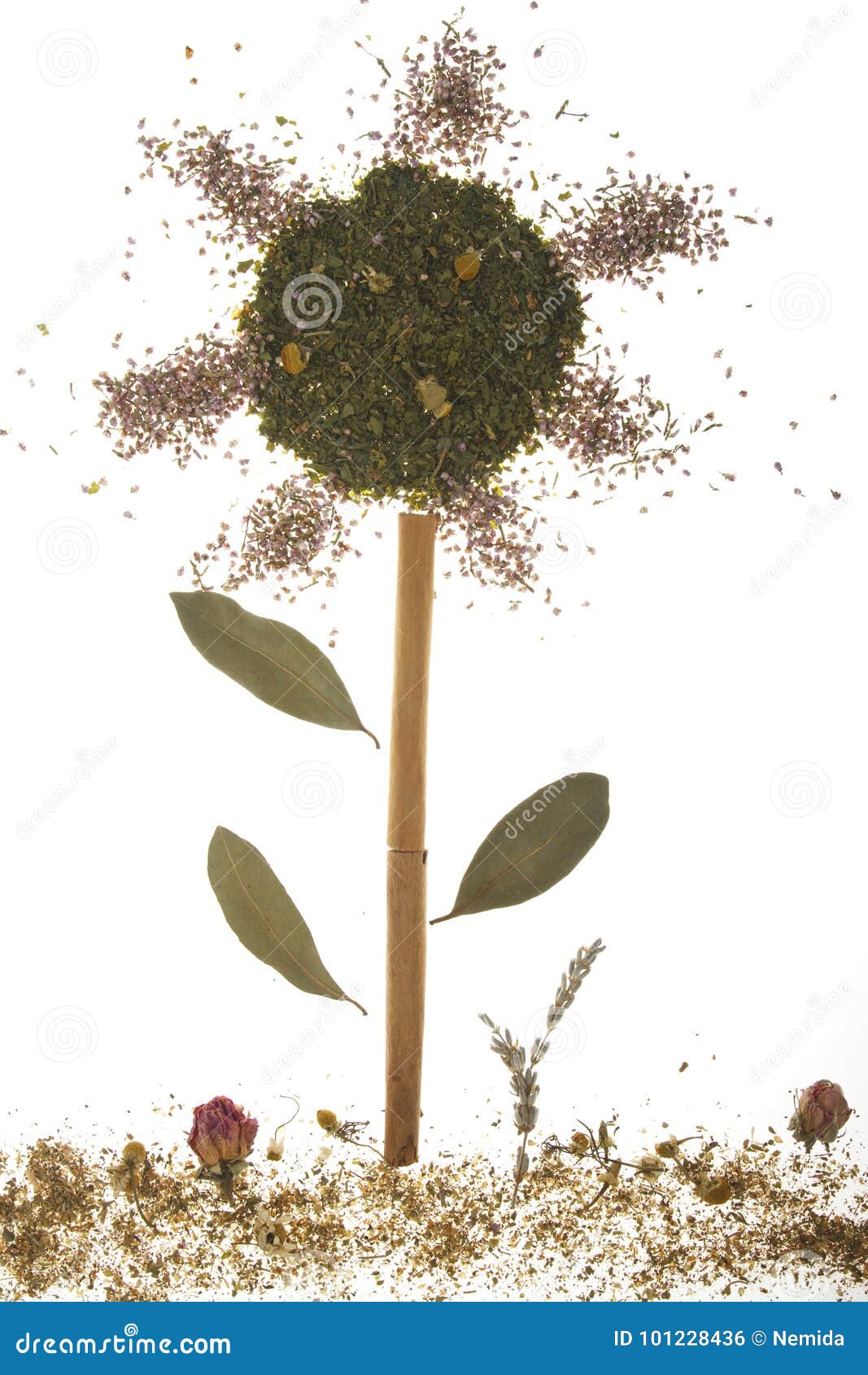Spicy flower stock photo. Image of leaves, parsley, heather - 101228436