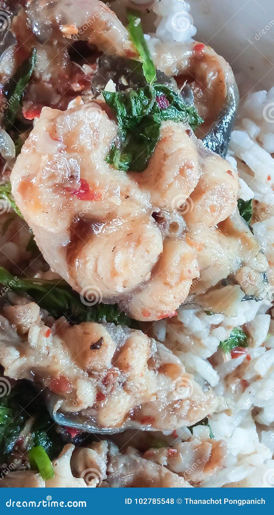 Spicy Fried Catfish stock photo. Image of spicy, thai - 102785548