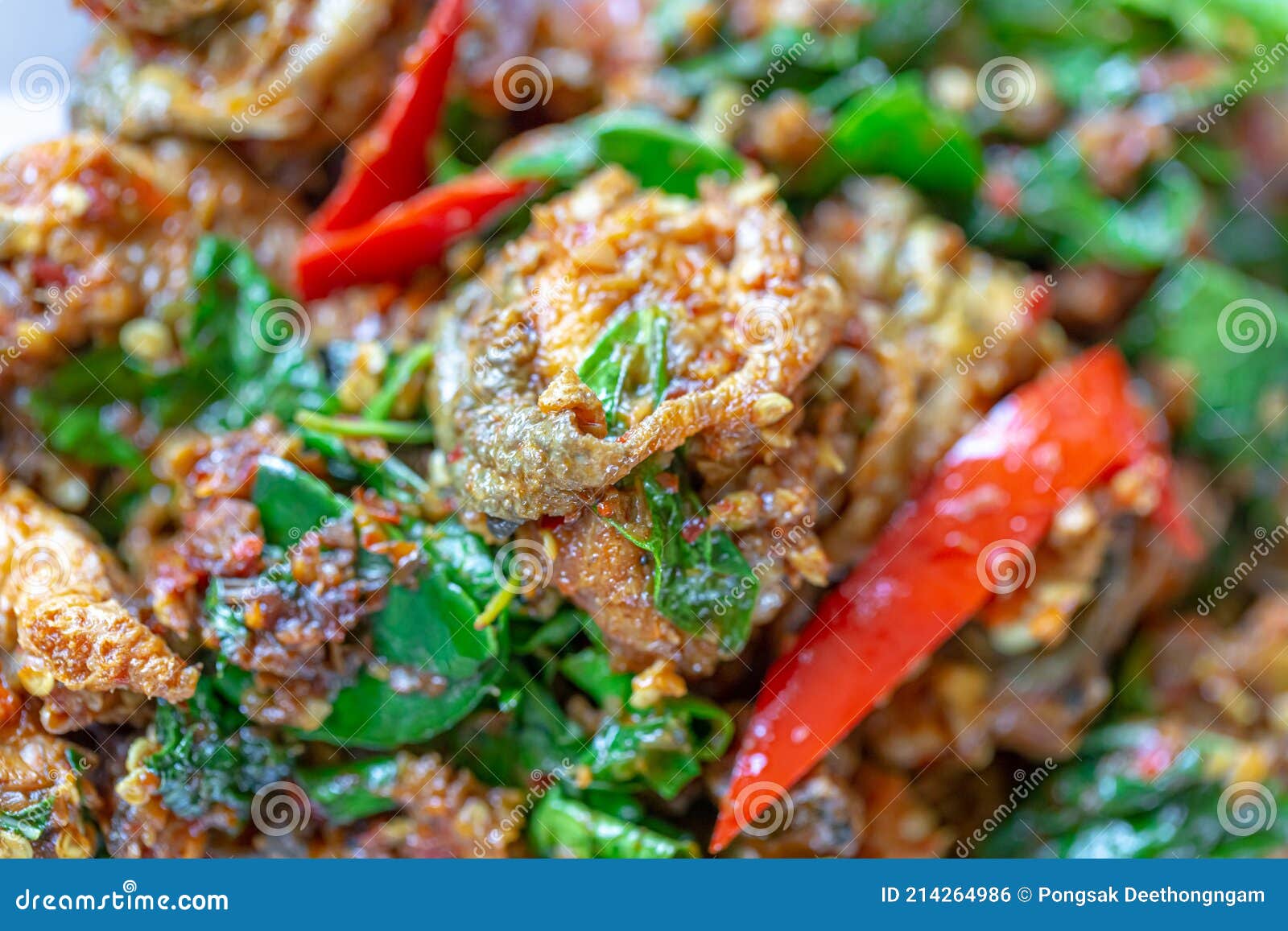 Spicy Frog with Basil Leaves Stock Photo - Image of asian, lunch: 214264986