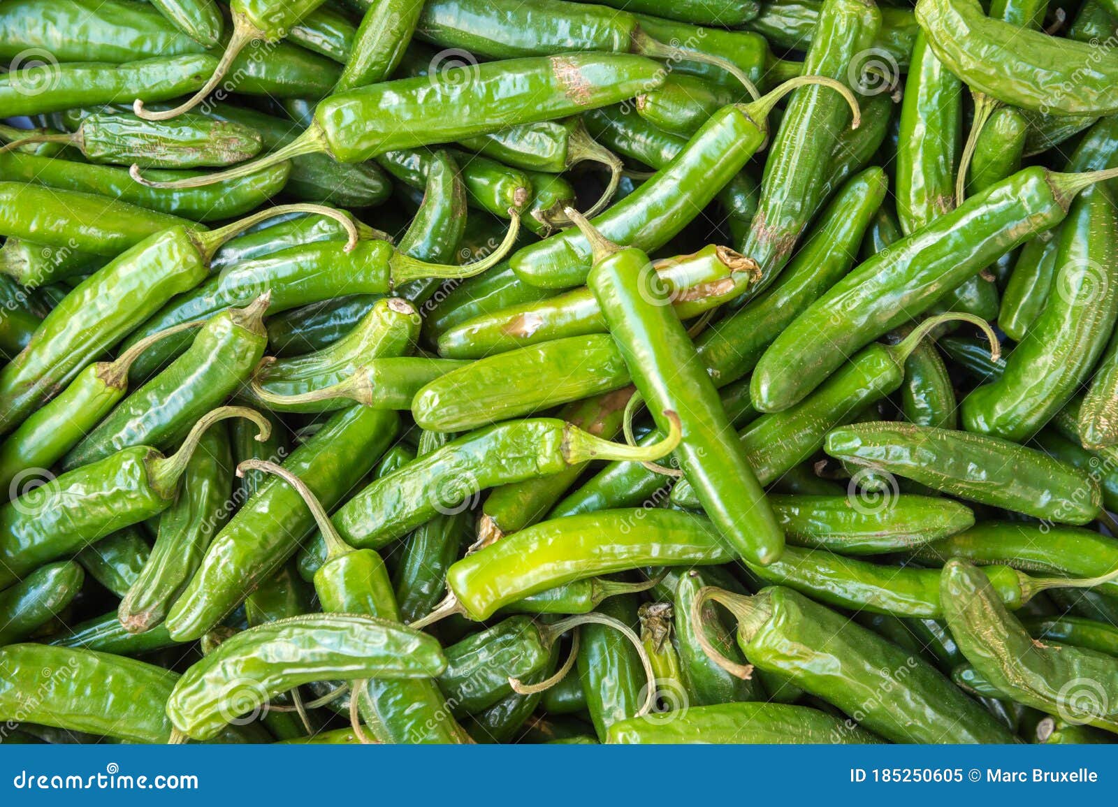 Green hot chili peppers stock image. Image of heat, plant - 185250605