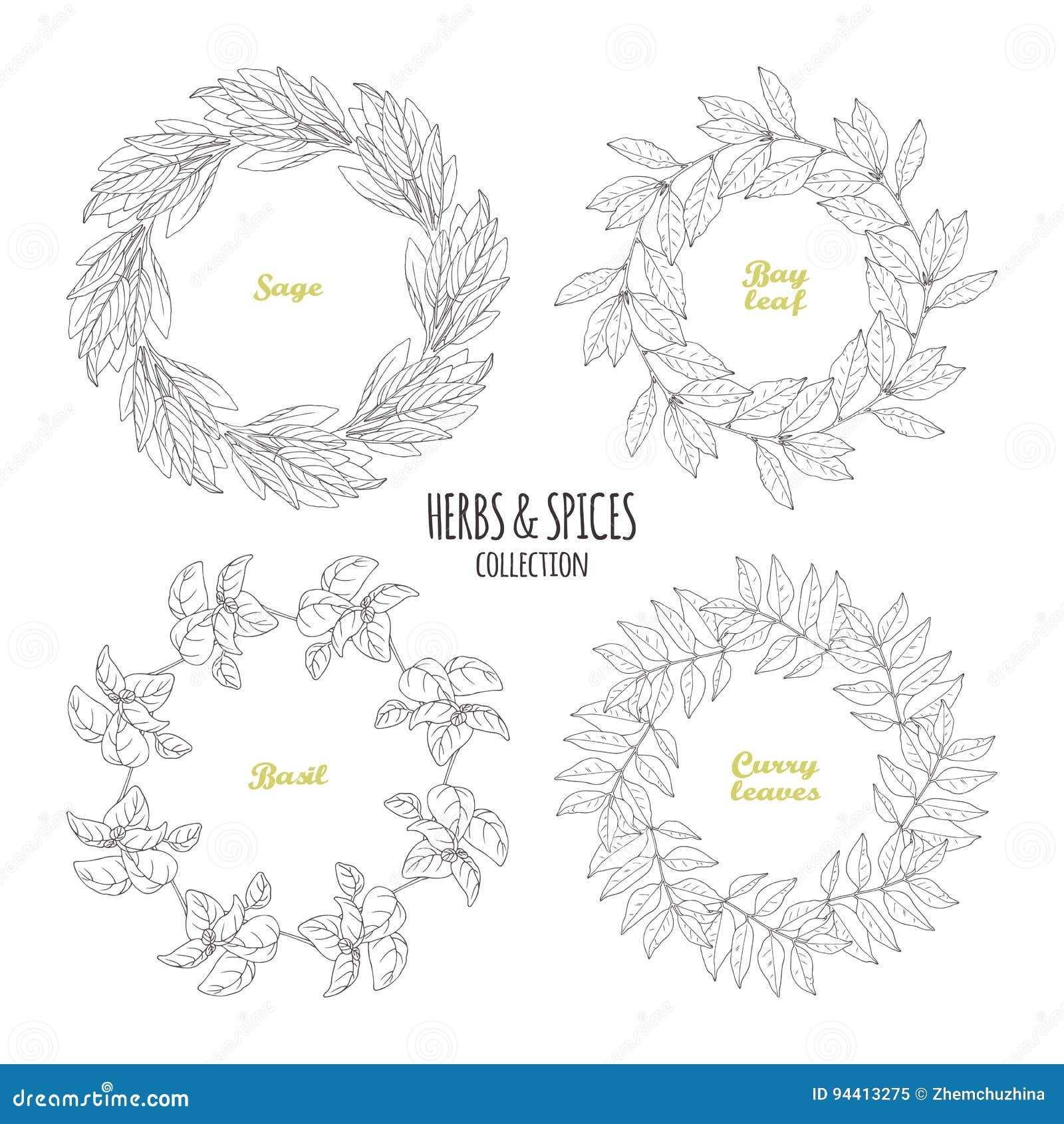 Spicy Herb Circle Frames Collection. Hand Drawn Sage, Bay Leaf, Basil ...