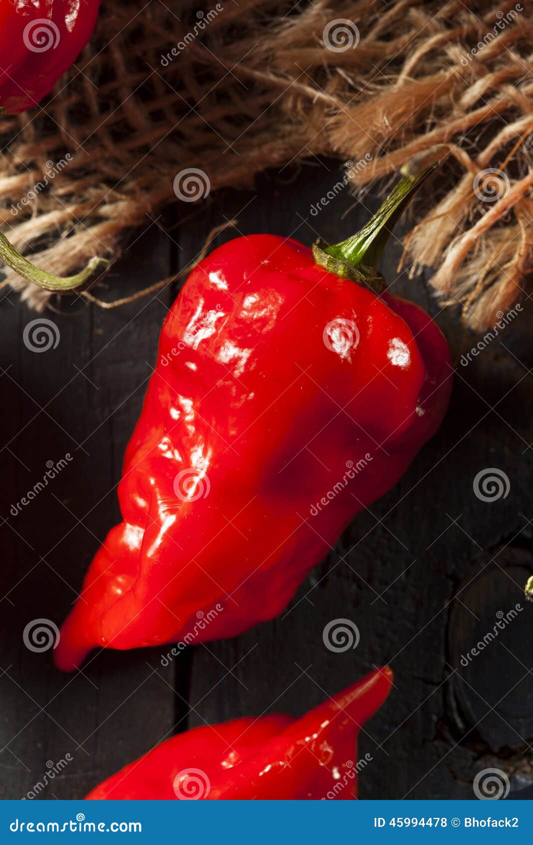 Spicy Hot Bhut Jolokia Ghost Peppers Stock Photo - Image of pepper ...